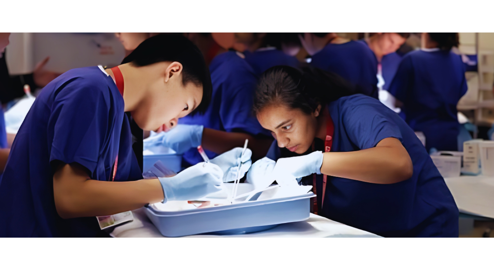 HSAFP - High School Alliance of Future Physicians